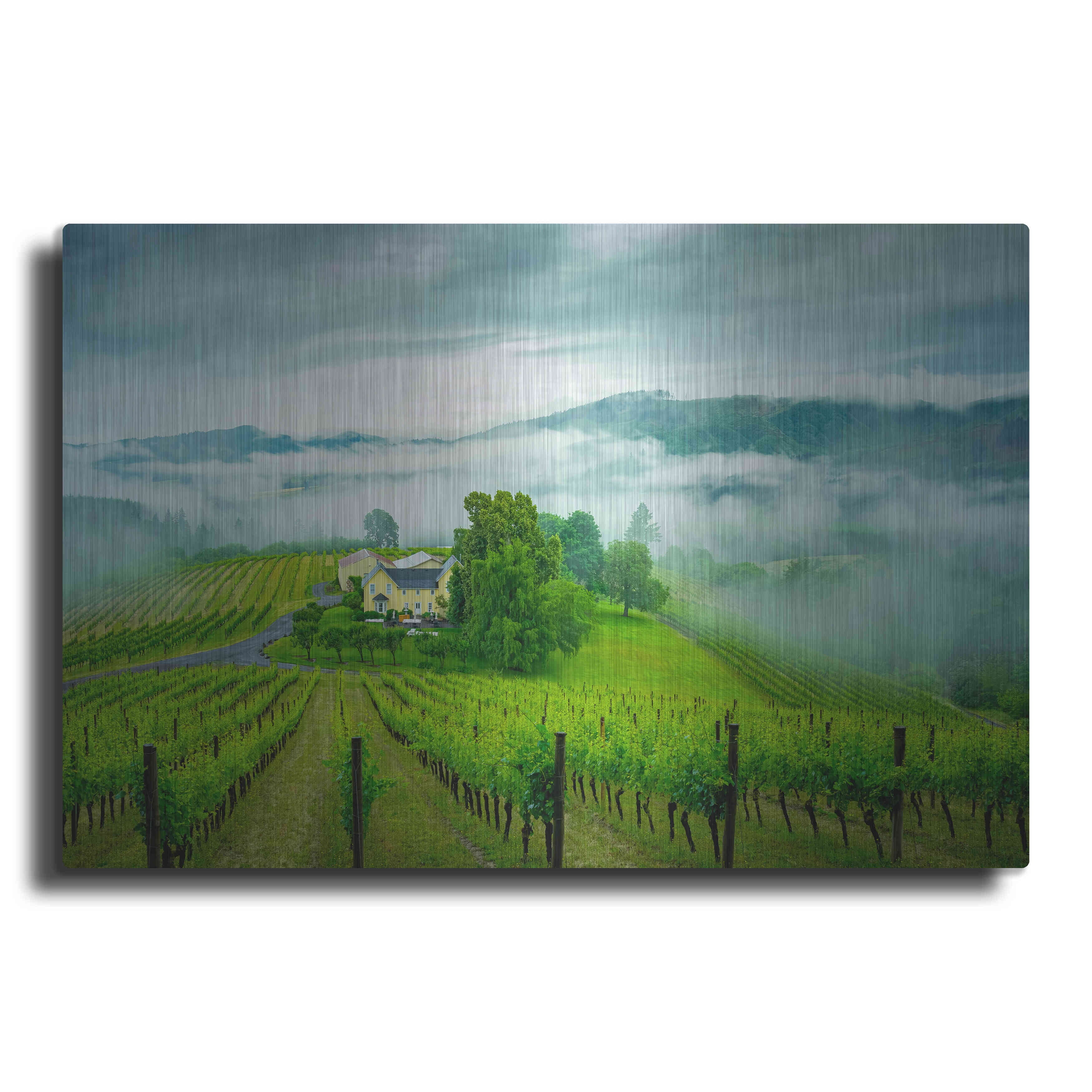 Luxe Metal Art 'Vineyard In The Mist' by Don Schwartz, Metal Wall Art ...