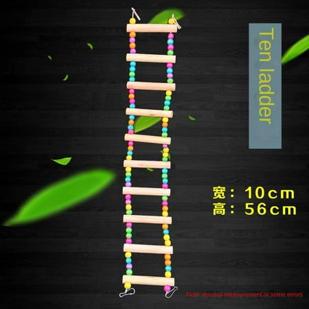 Parrot Bird With Toy Ring Ladder Color Swing Suspension Bridge Climbing ...