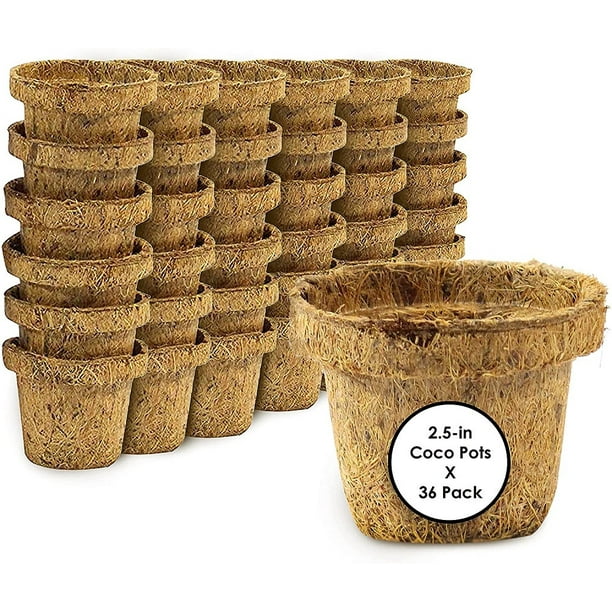 Envelor Coco Coir Plant Pots Seed Starter Tray Biodegradable Seed ...