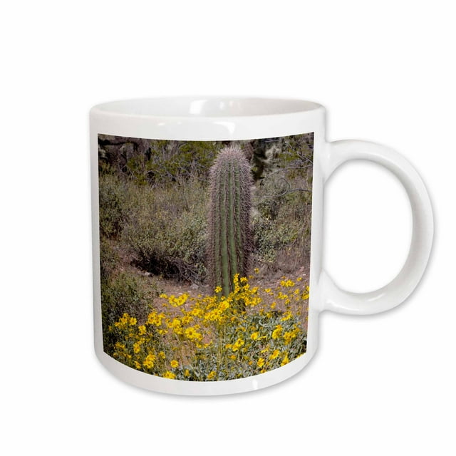 3dRose Compass Barrel Cactus, Sonoran Desert, Arizona - US03 FZU0023 ...