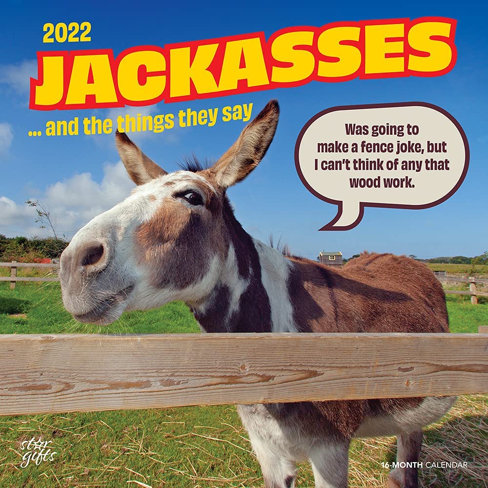 Jackasses 2022 12 x 12 Inch Monthly Square Wall Calendar with Foil ...