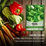 Genovese Basil Seeds - Walmart.com
