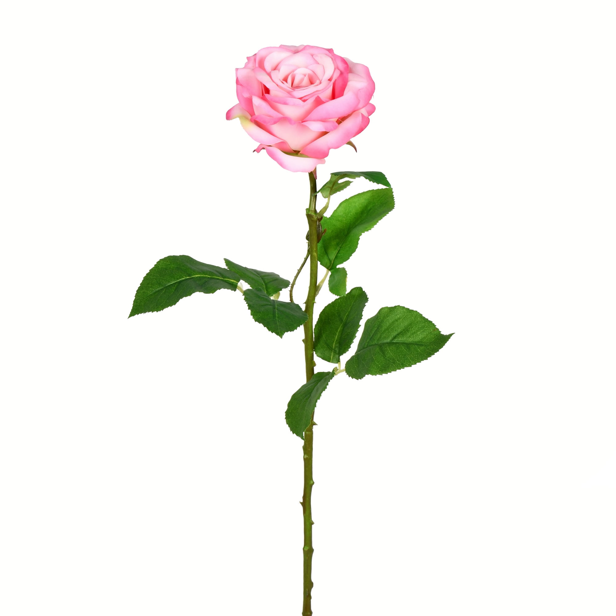Vickerman 26" Artificial Pale Pink Rose Stem, 6 per Bag - Walmart.com