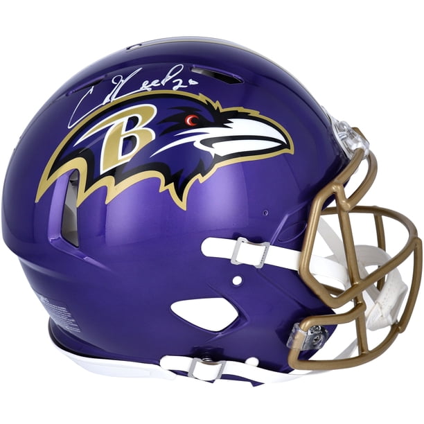 Raven Helmet
