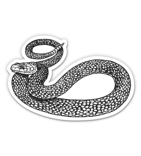 Rattlesnake Vintage - 3" Vinyl Sticker - For Car Laptop I-Pad Phone ...