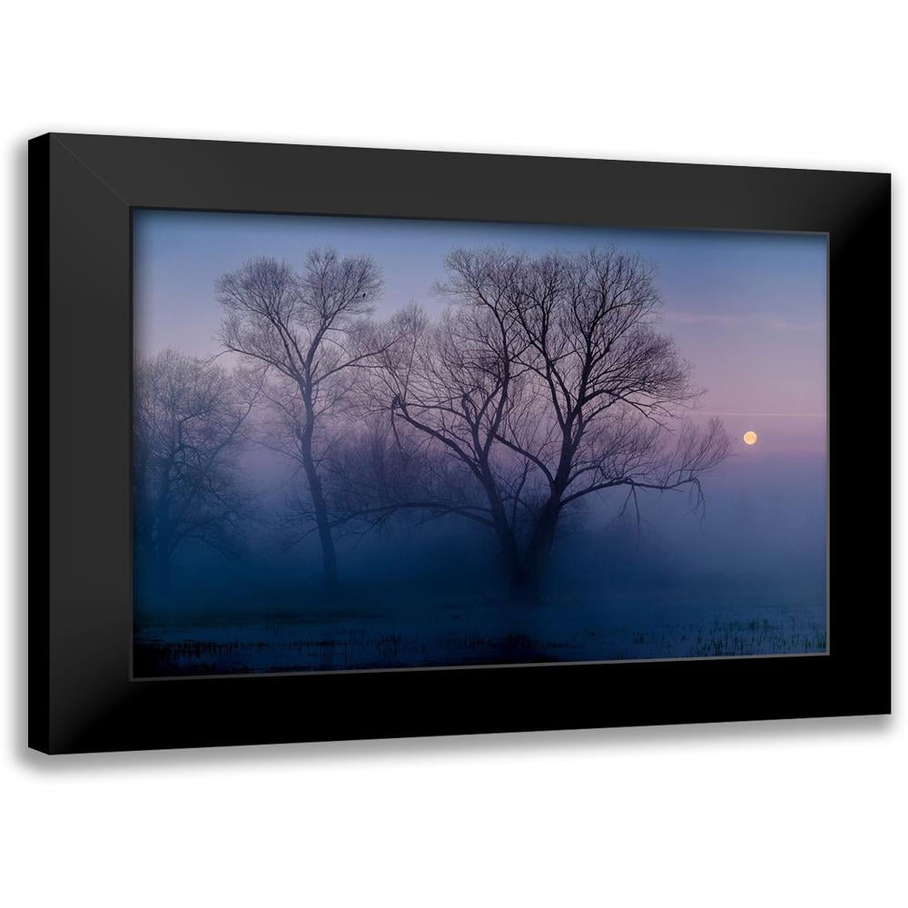 Agazzi, Andreas 18x14 Black Modern Framed Museum Art Print Titled ...