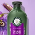 Herbal Essences Passion Flower Conditioner, Volume, 13.5 fl oz ...