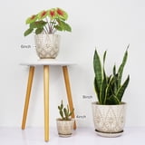 Gepege 8 Inch Ceramic Planter Pot with Drainage Holes, Saucers, and ...