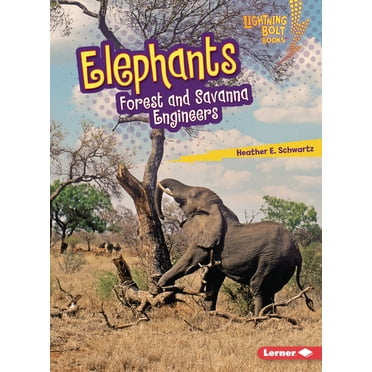 Mammals of the African Savanna - Animal Book 2nd Grade Children's ...