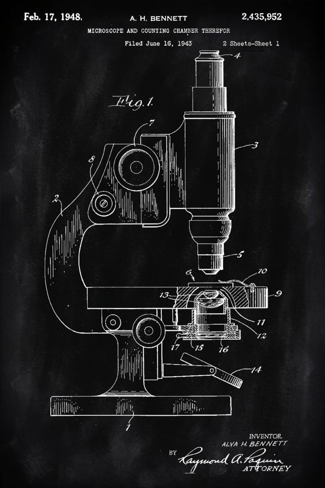 Blackboard Patent, Microscope (16x24 Giclee Gallery Art Print, Vivid ...