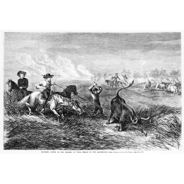 Cowboys Branding Cattle On The Prairies Of Texas. Woodcut From A Sketch ...