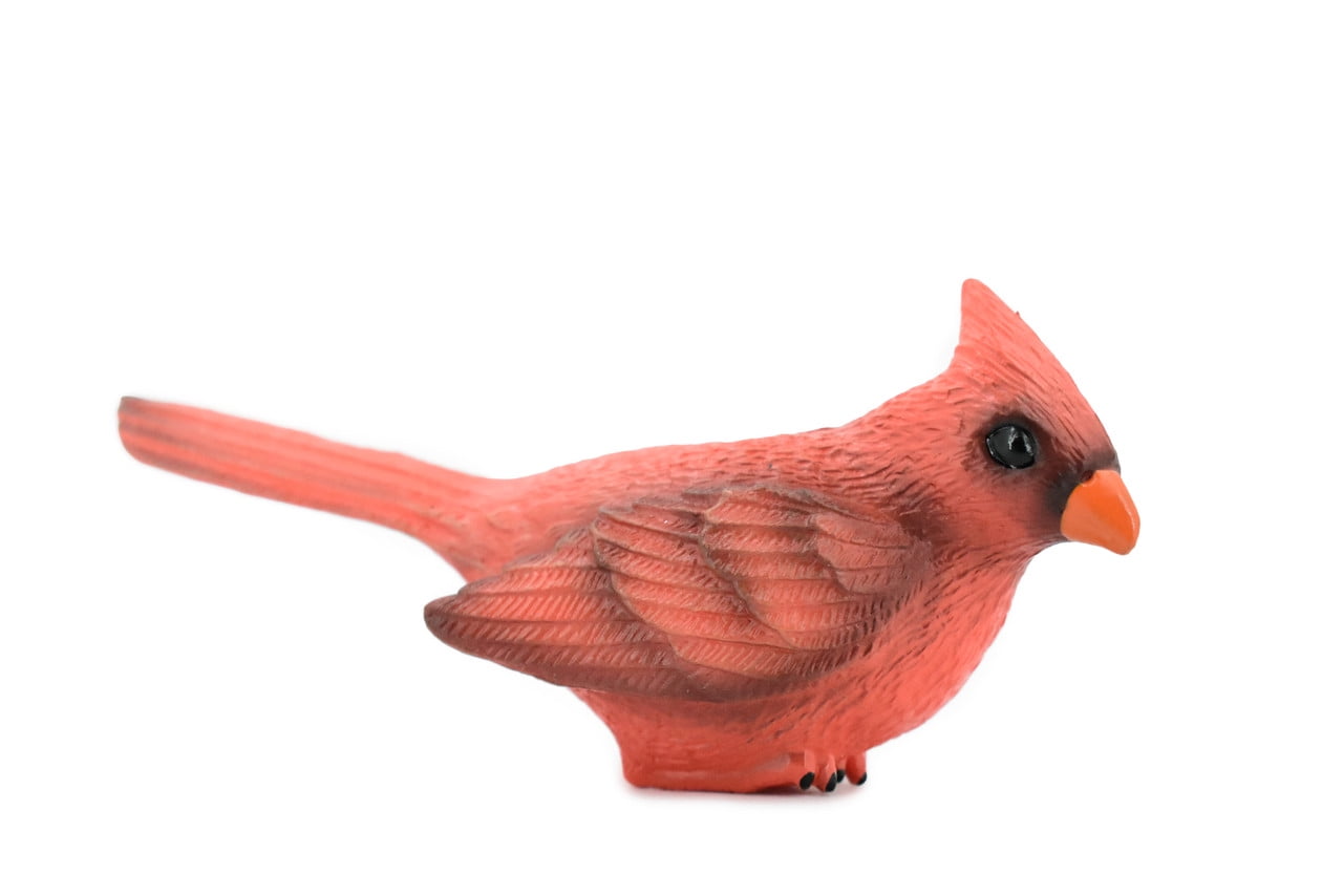 Bird, Northern Cardinal, Museum Quality, Hand Painted, Rubber ...