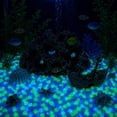 Clearance Volra 1000PCS Night Guide Pebbles, Light Blue Glowing Rocks ...