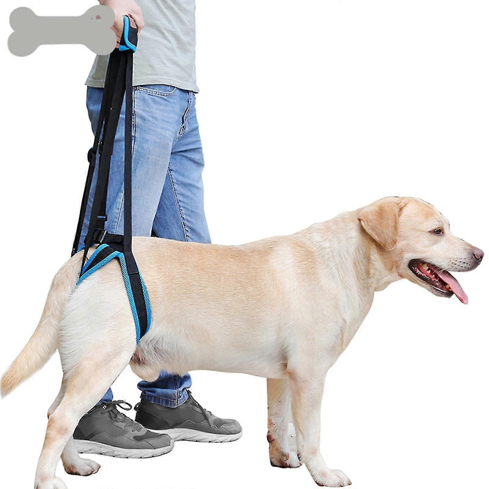 Auxiliary Dog Harness Dog Leg Injury Protection Pet Walking Aid Old Dog ...