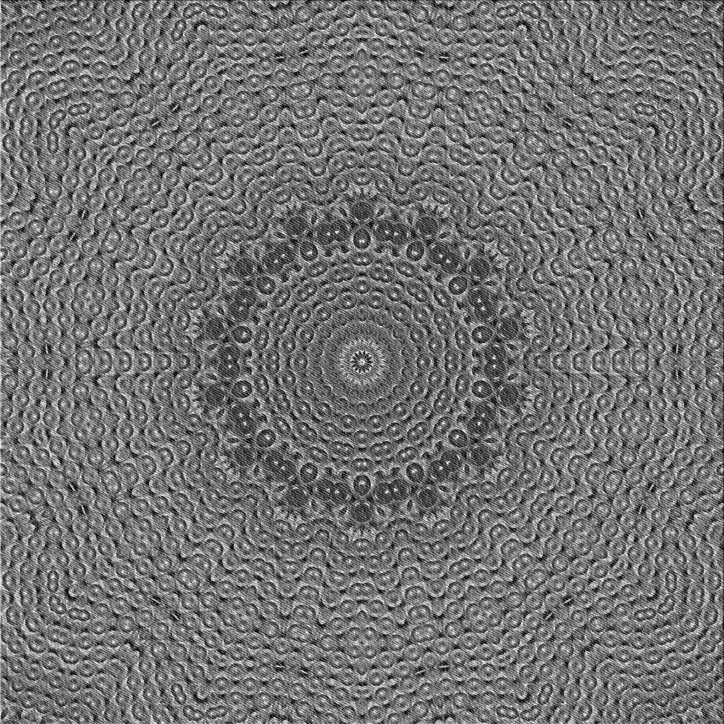 Ahgly Company Indoor Square Patterned Gray Wolf Gray Area Rugs, 4 ...