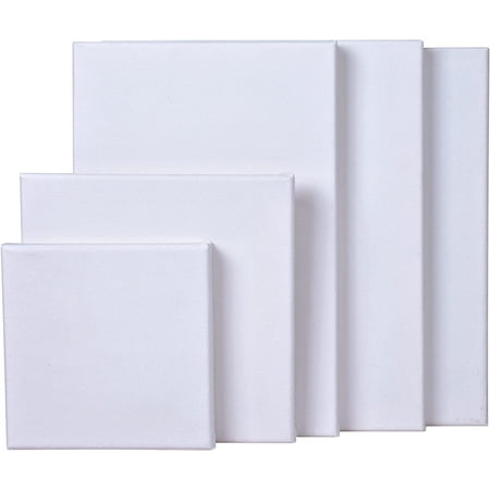QUETO 5 Pcs Châssis Entoilé Blanche Toile à Peindre Cadres de Toiles ...