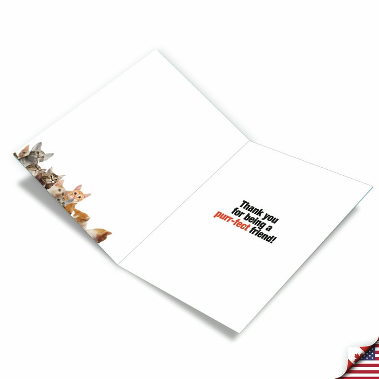 Crazy Cat Lady Starter Kit Envelope