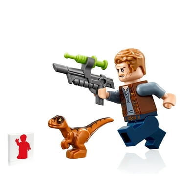 LEGO Series 17 Frenchman with French Bulldog Minifigure [No Packaging ...