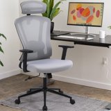 Flysky Office Chair-Mesh Office Chair with Adjustable Seat Depth,3D ...