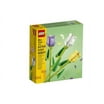 LEGO Iconic Tulip 40461 - Spring Flower Set with 3 Buildable Tulips ...