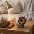 Hyper-Realistic Monster Eye Decor, Realistic Eyeball Ornament ...