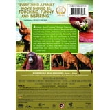 IMAX: Born to Be Wild (DVD) - Walmart.com