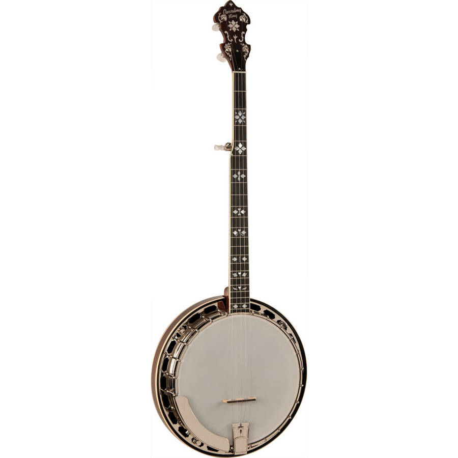 Recording King - The Elite 5-String Banjo - Walmart.com