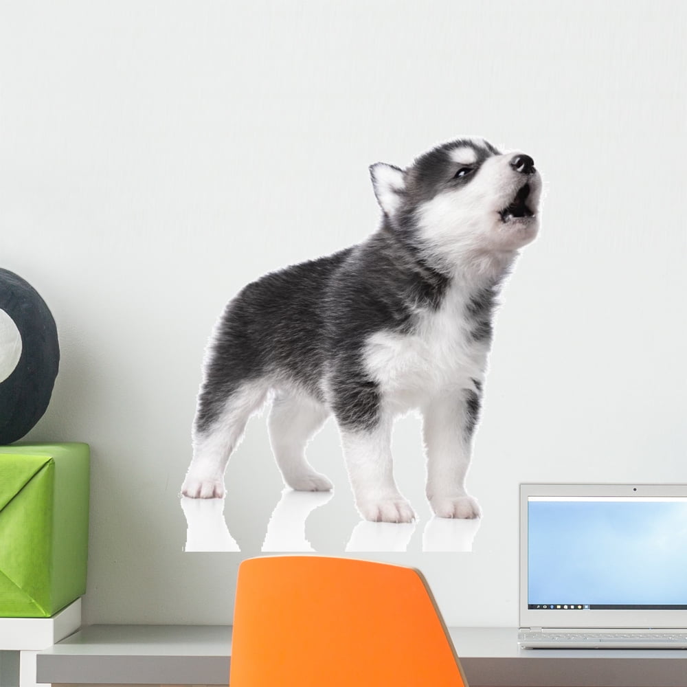 Cute Little Husky Puppy Wall Decal by Wallmonkeys Peel and Stick ...