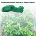 13ft x 33ft Green Anti Bird Netting Pond Net Protection Crops Plants ...