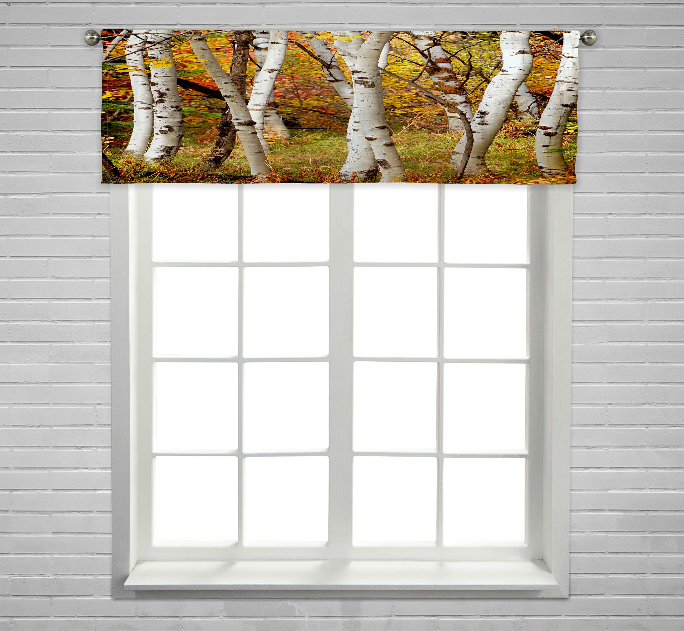 ABPHQTO White Fall Birch Trees With Autumn Leaves Window Curtain ...