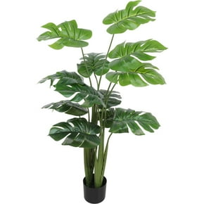 Danson Decor | Walmart Canada