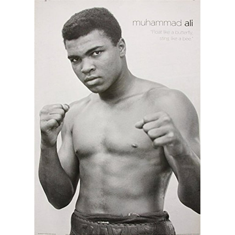 Muhammad Ali Float Like A Butterfly Sting Like A Bee