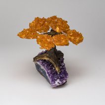 Feng Shui Citrine Money Wealth Tree Chinese Fortune Tree Crystal Tree ...