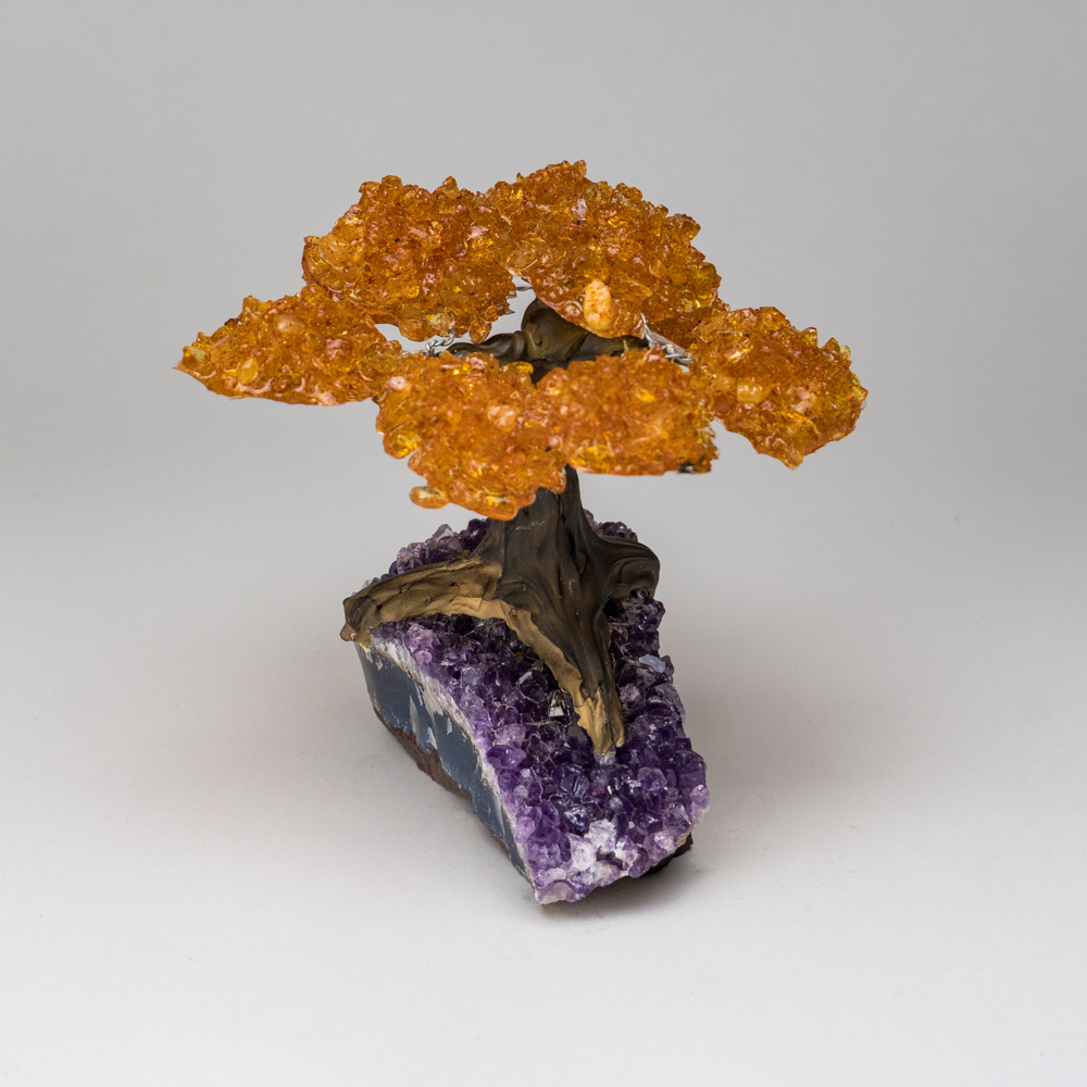 Feng Shui Citrine Money Wealth Tree Chinese Fortune Tree Crystal Tree ...