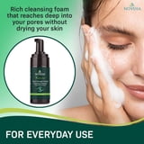 Demodex Eyelid Cleanser Foam | Extra Strength Tea Tree Oil Formula ...