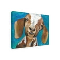 Hippie Hound Studios 'Goat Millie' Canvas Art - Walmart.com