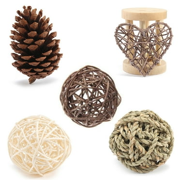 Kaytee Chew & Treat Toy Box Guinea Pig - Walmart.com