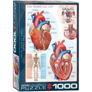 Re-Marks Periodic Table Jigsaw Puzzle, 1000-Piece Puzzle for All Ages ...