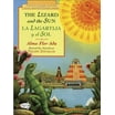 The Lizard and the Sun / La Lagartija Y El Sol (Paperback) - Walmart.com
