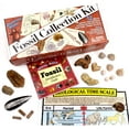 DANCING BEAR Fossil Collection Kit (12 pc Set) Fossil ID Book, STEM ...