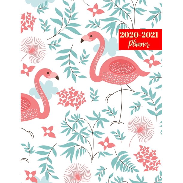 2020-2021 Planner: Pretty 2 Year Calendar 2020-2021 Daily, Weekly ...