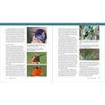 Hummingbird Handbook: Complete Garden Guide Book for These Fascinating ...