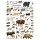 MasterPieces 1000 Piece Jigsaw Puzzle – Land Mammals of North America ...