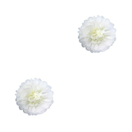 Becaristey Paper Flower Decorations for Wall Handmade Convenient ...