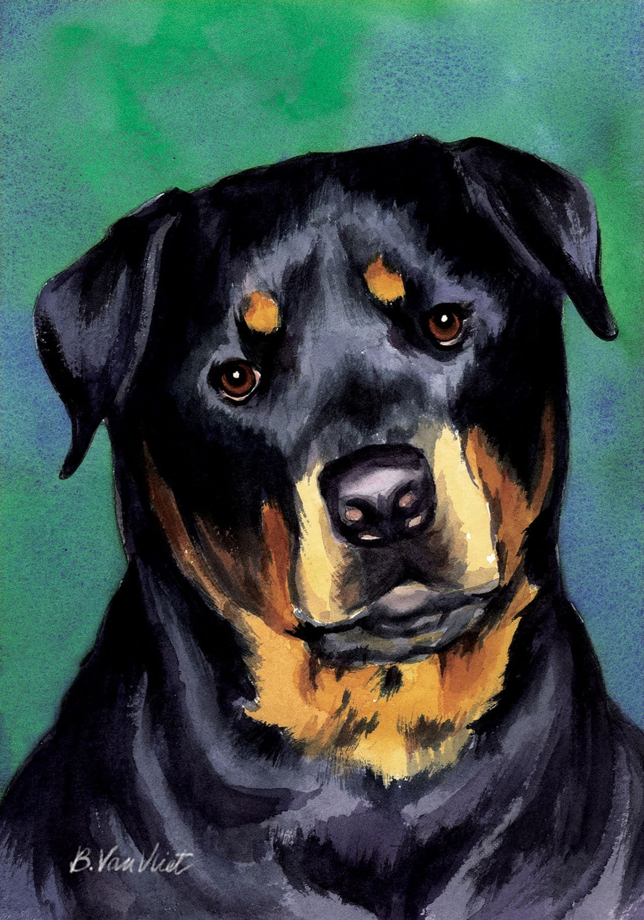 Rottweiler - Barbara Van Vliet Portrait Large Flag - Walmart.com