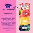 Wildwonder Guava Rose, Prebiotic + Probiotic Sparkling Drink, 12oz Cans ...
