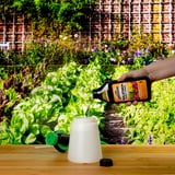 Spectracide Malathion Insect Spray Concentrate, 16-fl oz - Walmart.com