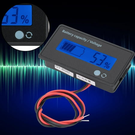 LCD Battery Display, Single Button With Flashing Alarm GY-6GD Battery ...