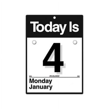 AT-A-GLANCE 2024 Daily Wall Calendar Refill, Large 8.5 x 8, for Today ...