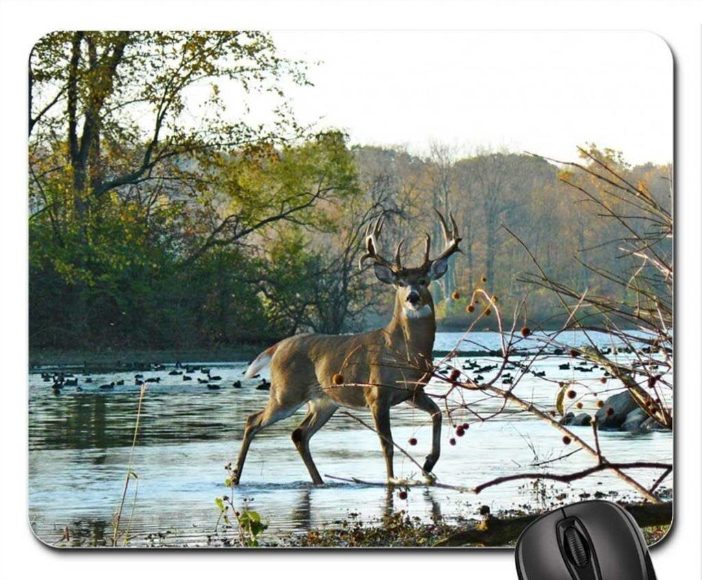 POPCreation Big buck Mouse pads Gaming Mouse Pad 9.84x7.87 inches ...